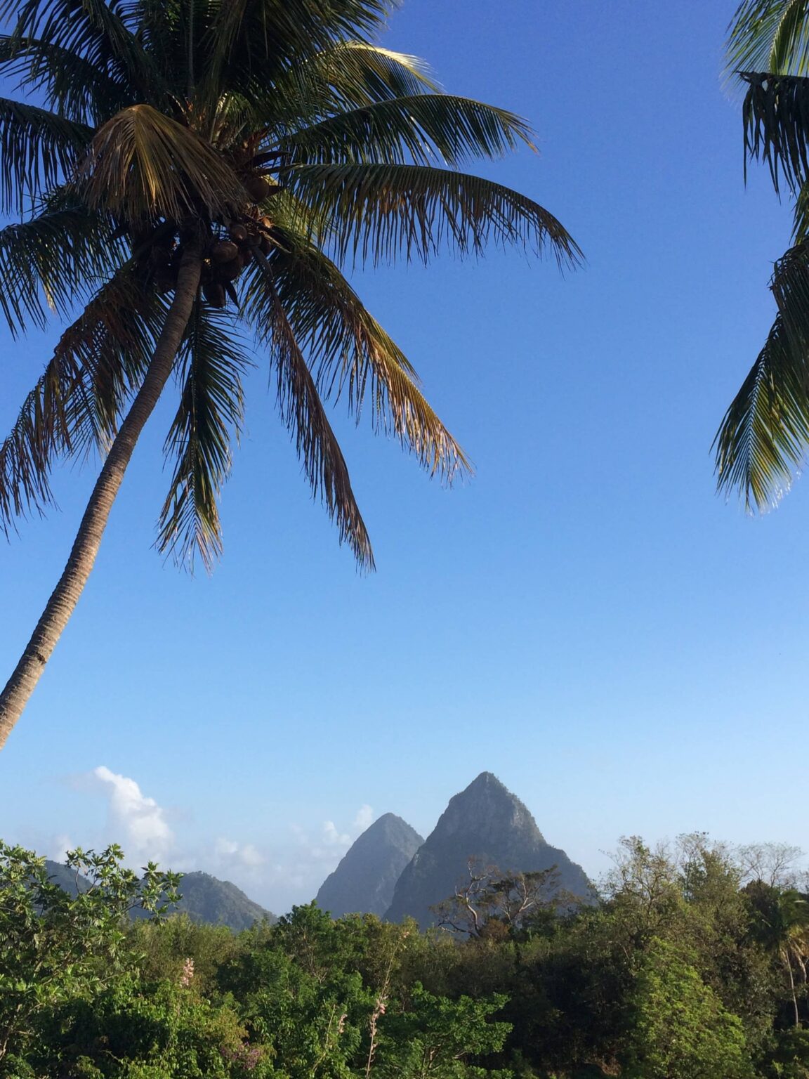 pitons - Another Rum Punch