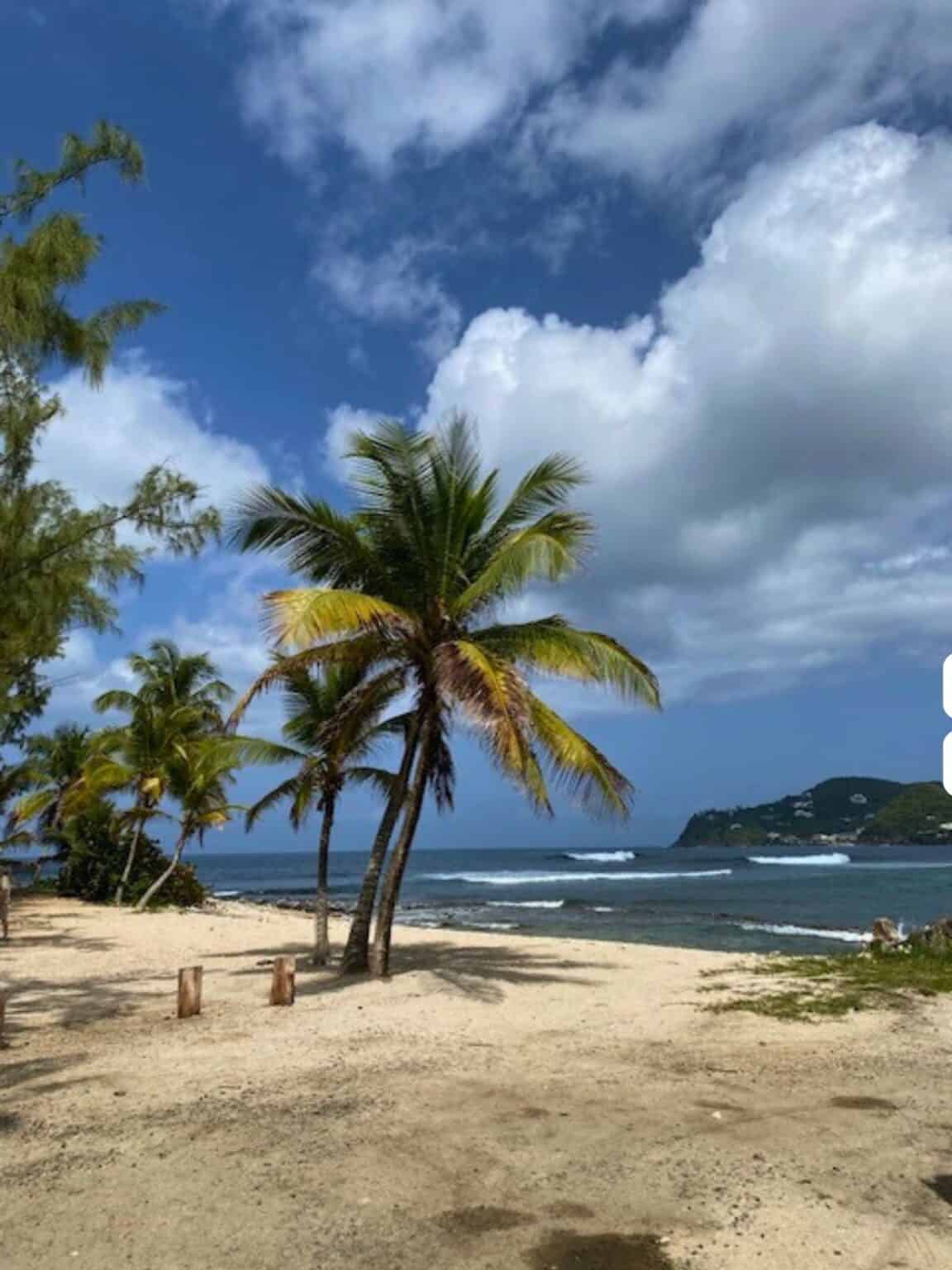 Saint Lucia Thanksgiving